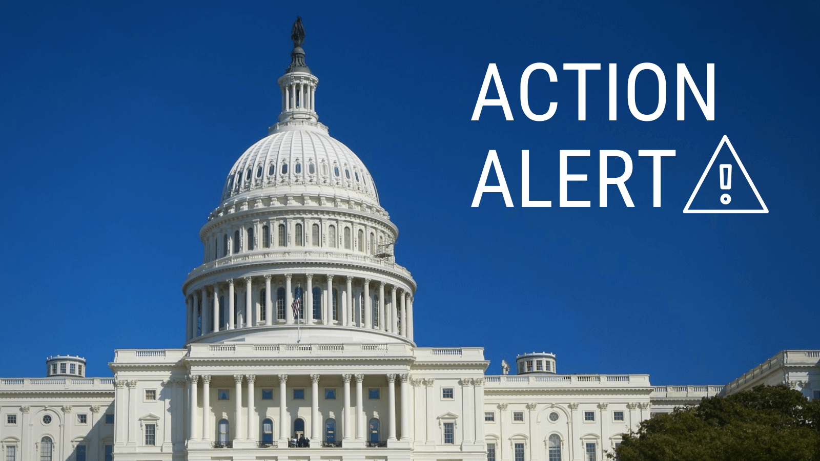 ACTION ALERT: Urge Congress to Protect Rehab Services