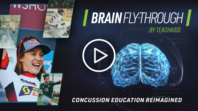 CrashCourse Concussion Education - Brain Injury Association of America